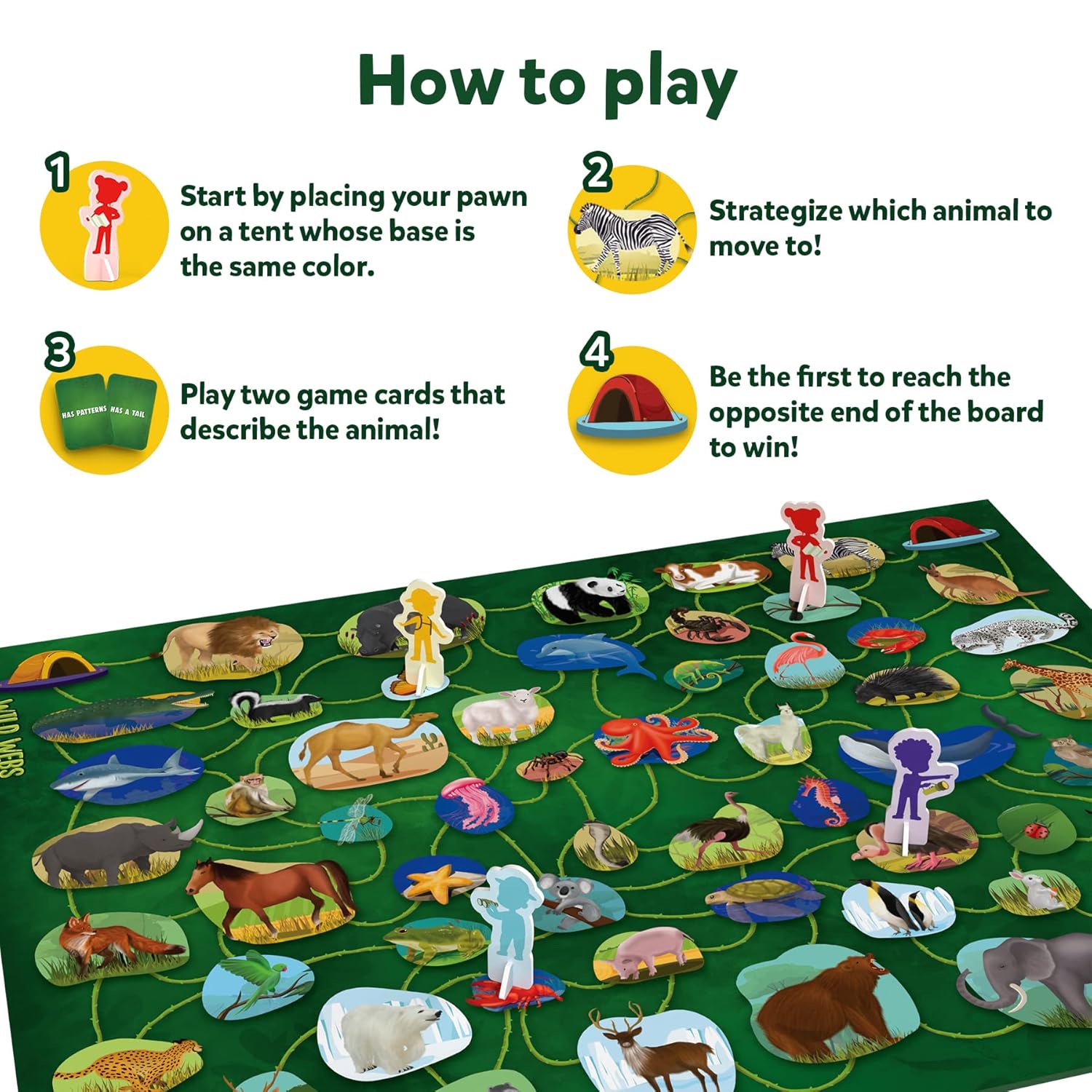 Skillmatics Board Game - Wild Webs, Animal Learning Game – Kidsinfy.in